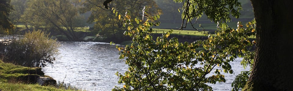 Environmental watchdog lacks resources to carry out water pollution ...