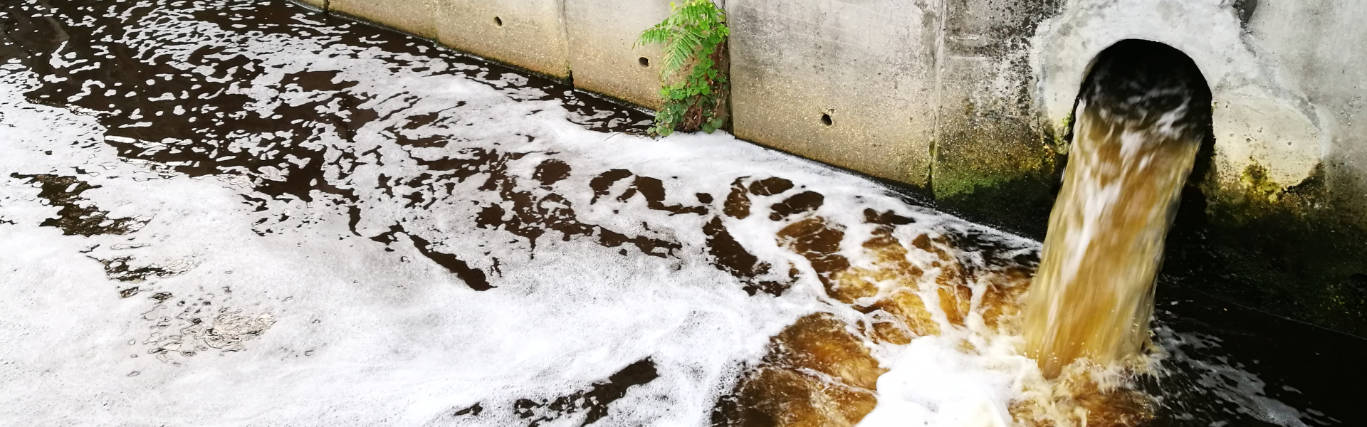 A perfect storm: Storm overflows and the new legislative pressures ...