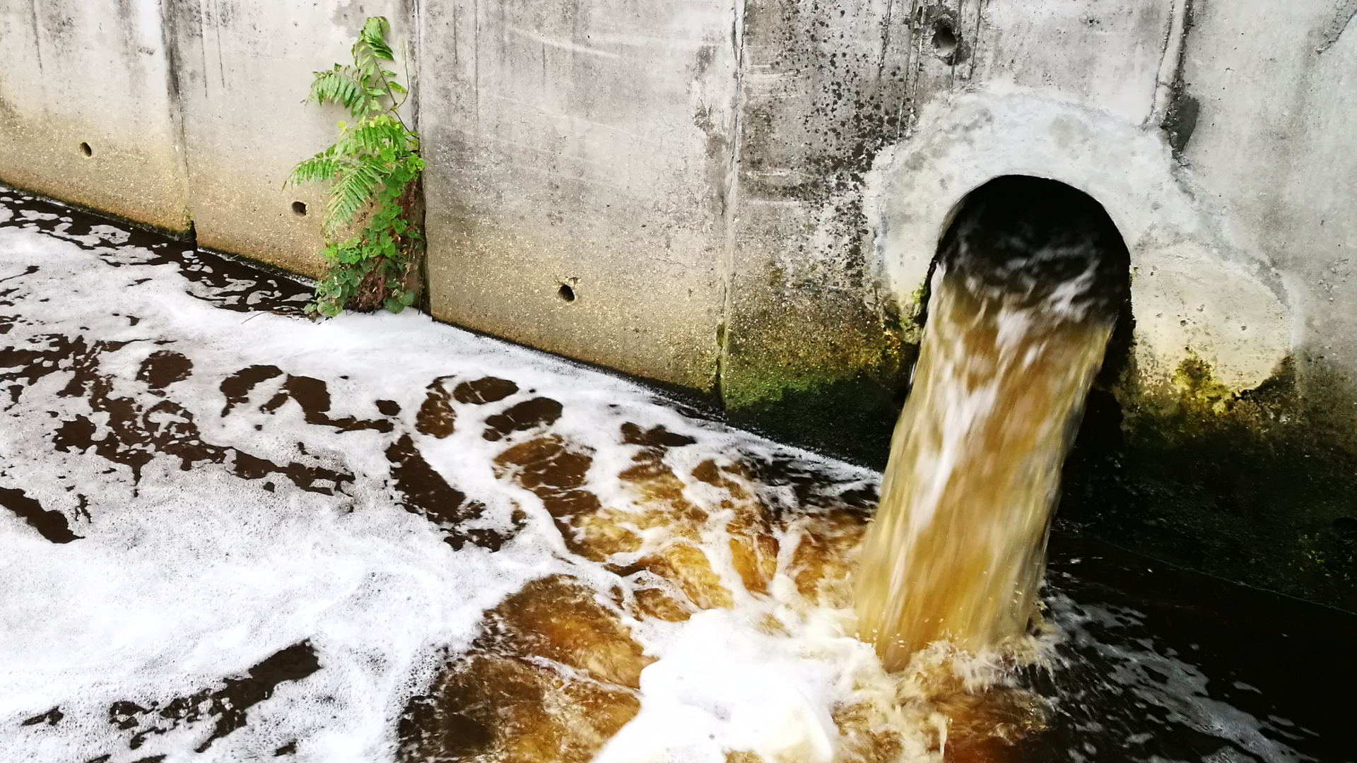 Water UK goes live with world-first CSO map - Utility Week