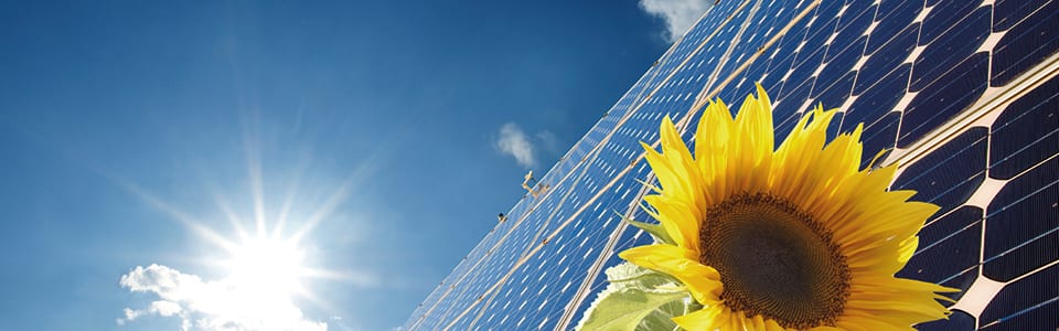 Staying optimistic through the decarbonisation transition - Utility Week