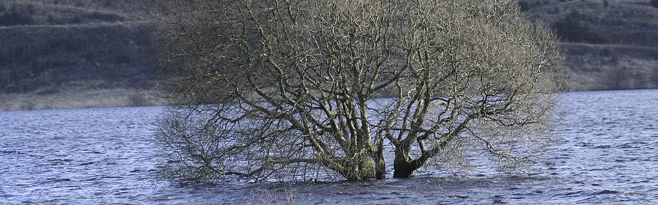 Boosting community engagement around blue-green infrastructure ...